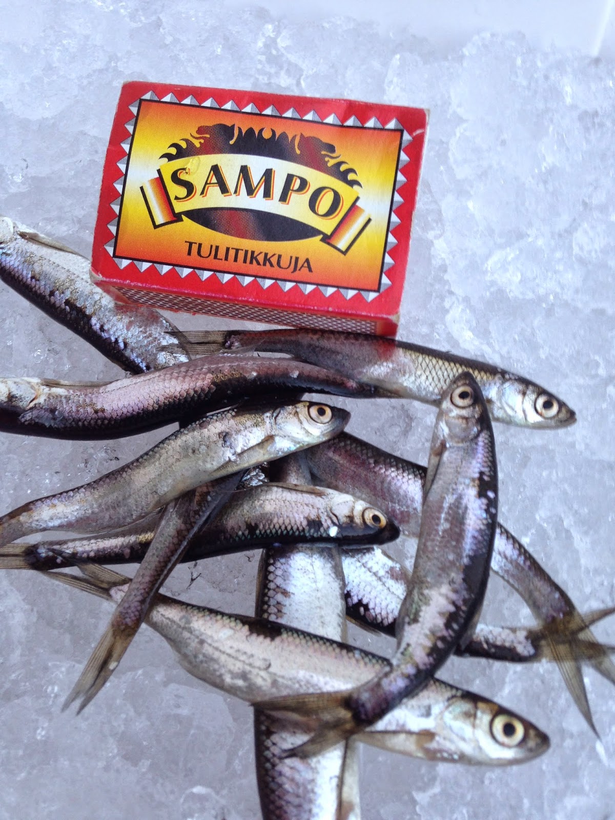 Kalahommia: Salakkaa toukokuussa